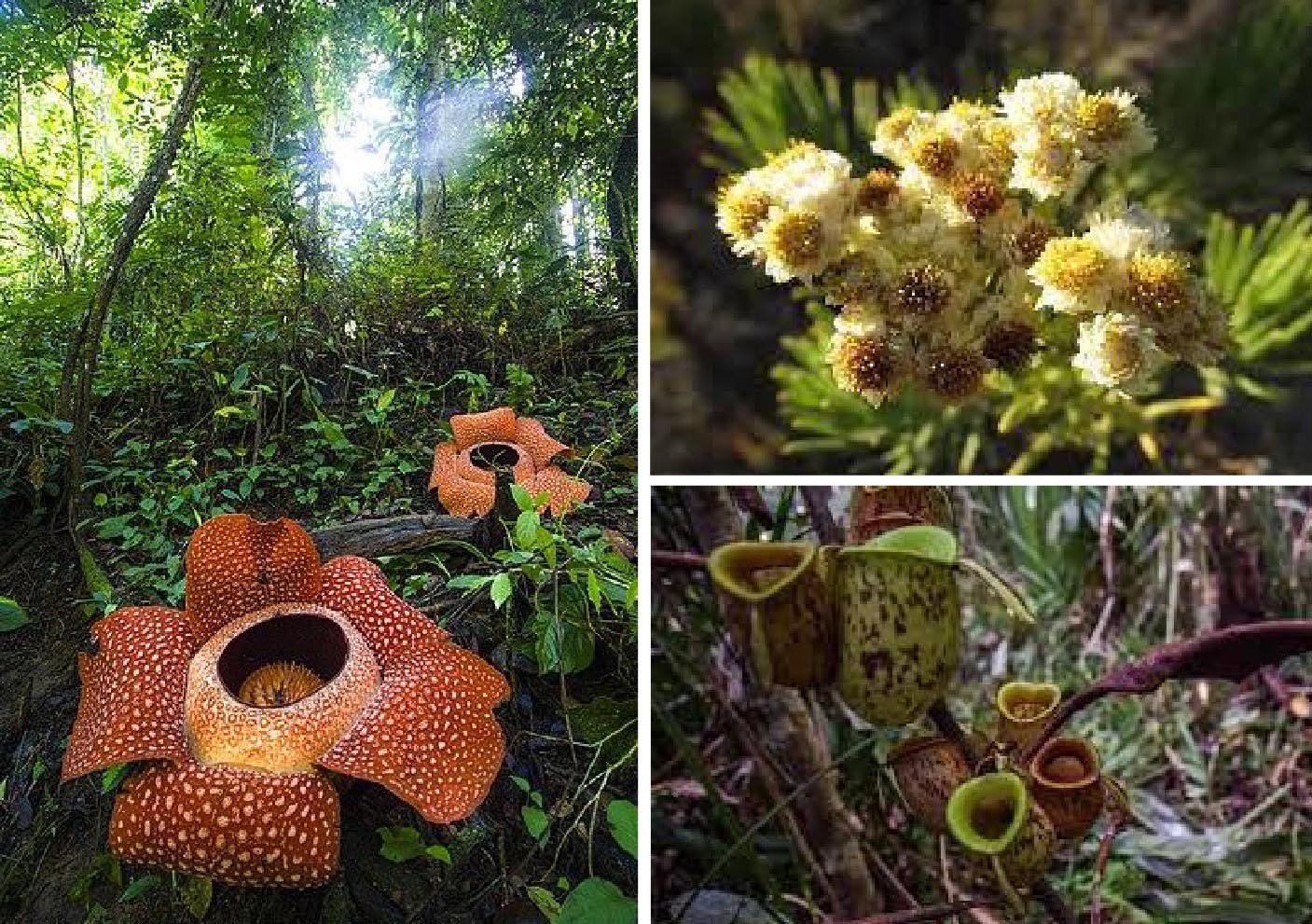 Community Rangers in Java Put Training into Practice